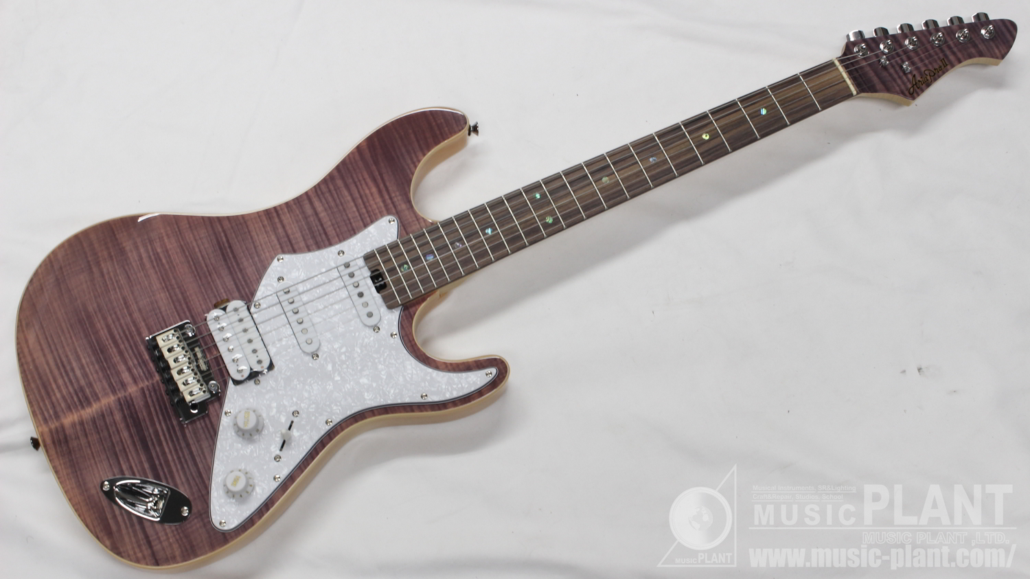 ARIA PRO II Aria Evergreenシリーズ エレキギター714-AE200 LV新品在庫状況をご確認ください | MUSIC PLANT WEBSHOP